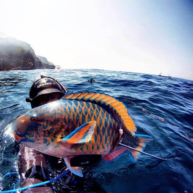 Spearfishing Charters in Indonesia